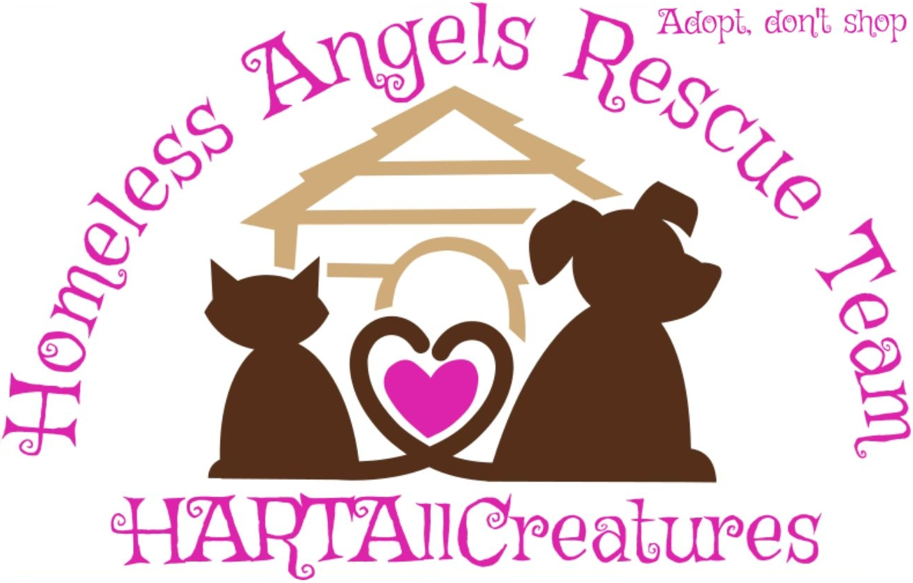 Homeless Angels Rescue Team
