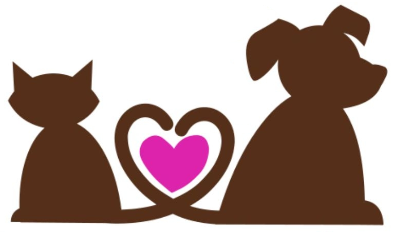 Homeless Angels Rescue Team